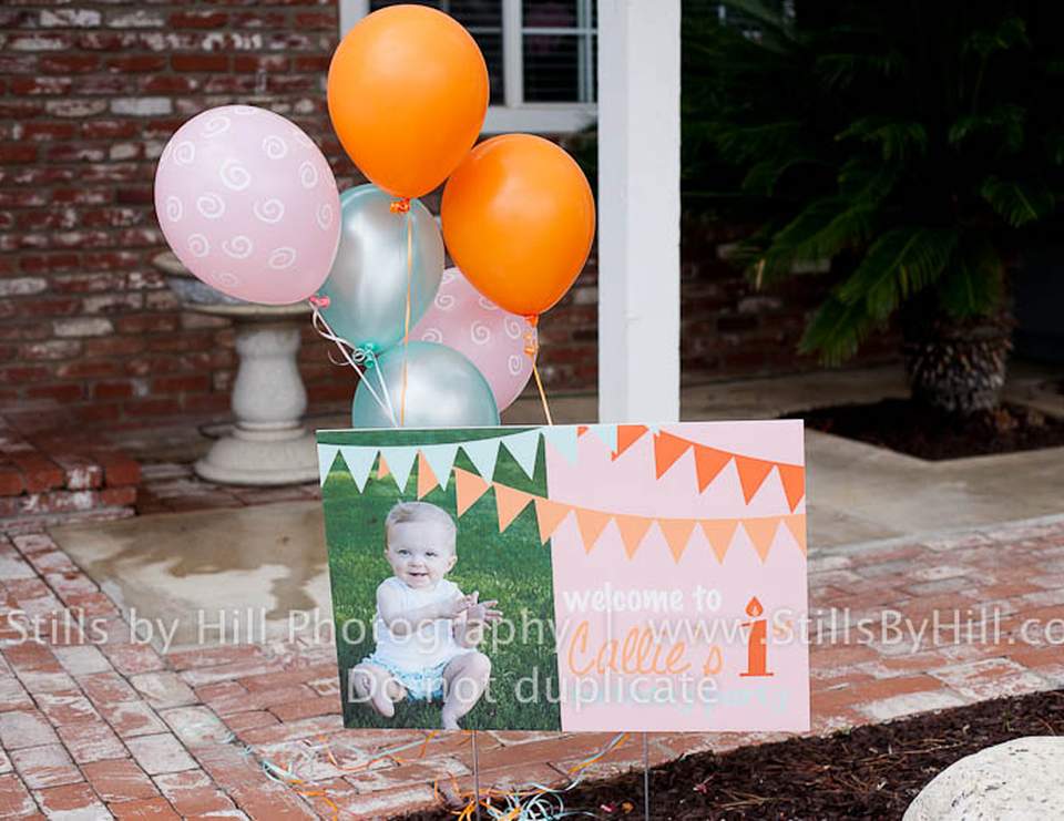 Spring / Birthday "The Big One: a first birthday party" | Catch My Party