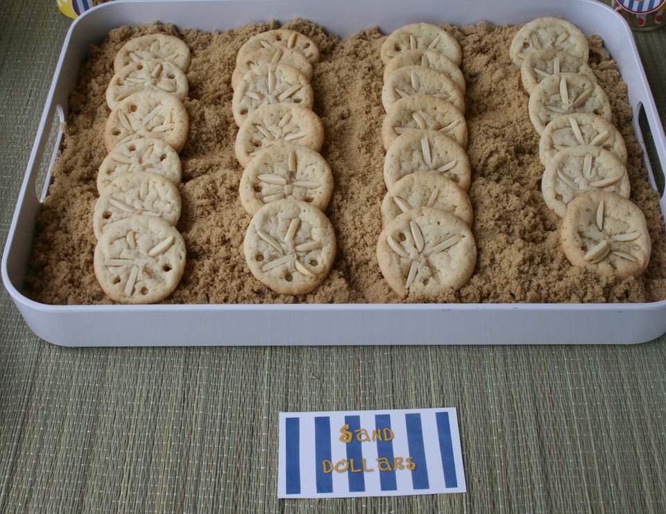 Birthday "Retro Beach Party" | Catch My Party