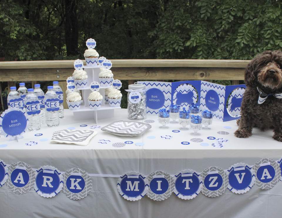 Dog/Puppy Party "Mocha's Bark Mitzvah" | Catch My Party