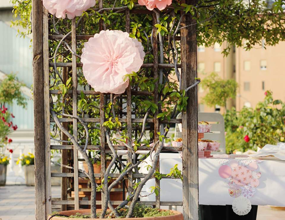 Pink and Rose / Birthday "Think Pink" | Catch My Party