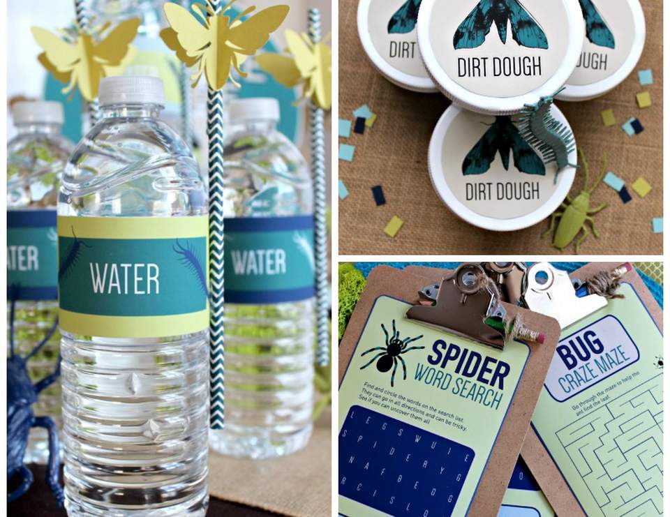 Bugs / Birthday "Bug Birthday Bash" | Catch My Party