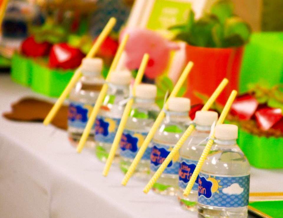 Little George Pig / Birthday "Little George Pig Party" | Catch My Party