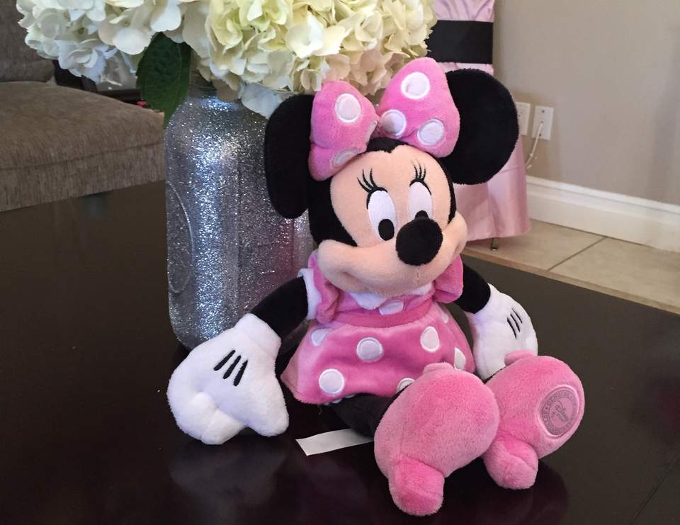 Minnie Mouse / Birthday "Faiths 2nd birthday" | Catch My Party