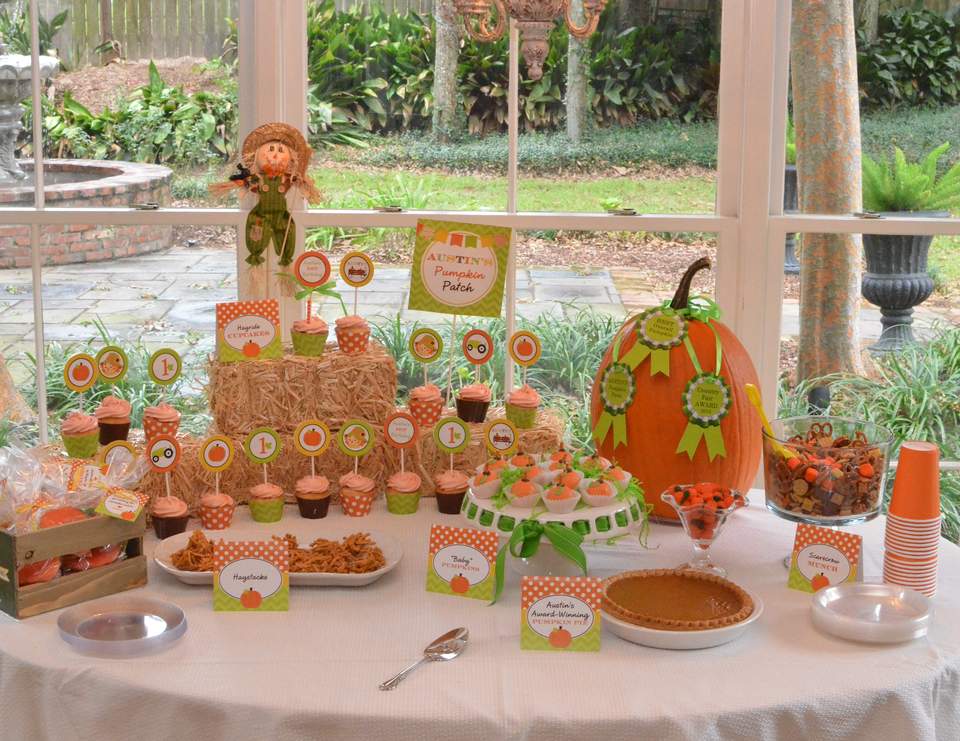 Pumpkin Patch / Birthday "Austin's Pumpkin Patch Party" | Catch My Party