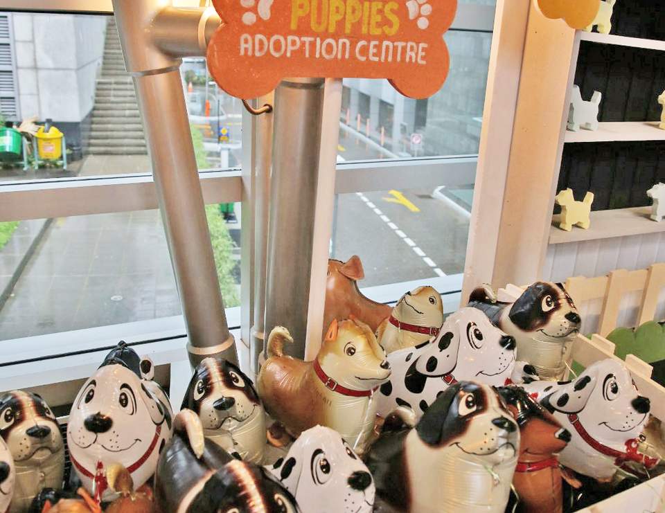 Dogs (parties for dogs) / Birthday "I Woof you " | Catch My Party