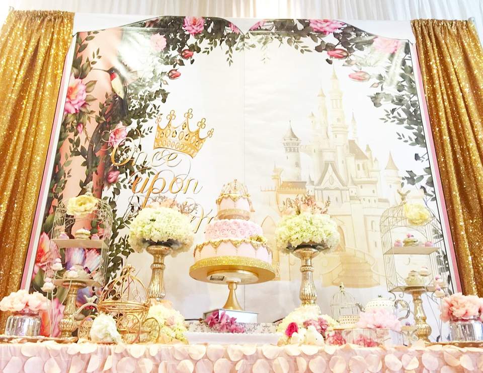 Once Upon a Time/Princess / Birthday "Princess Stories" | Catch My Party