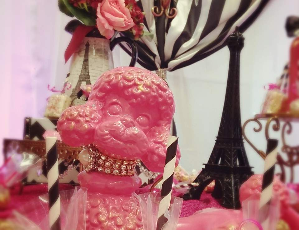 Kate Spade / Quinceañera "Kate Spade in Paris ♤" | Catch My Party