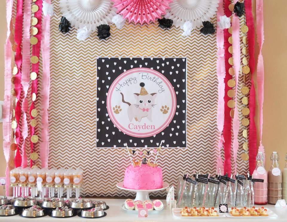 Kitty Cat / Birthday "Cayden's Adorable Kitty Cat Party" | Catch My Party