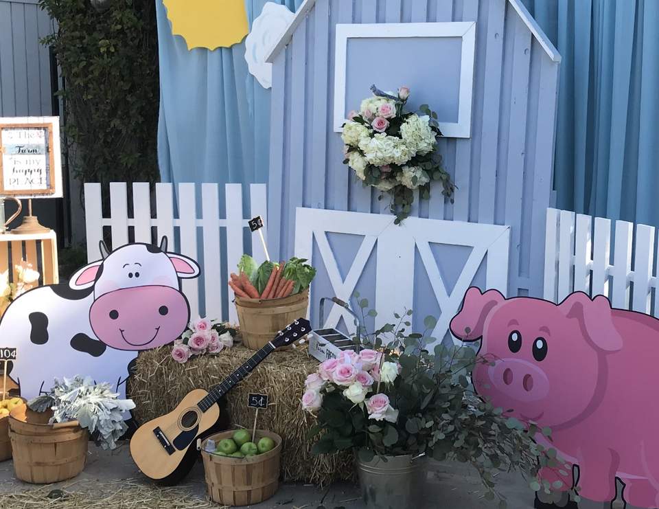 Farm / Farm Chic/ Rustic / Shabby Chic / Birthday "Kira’s Farm Chic 2nd ...