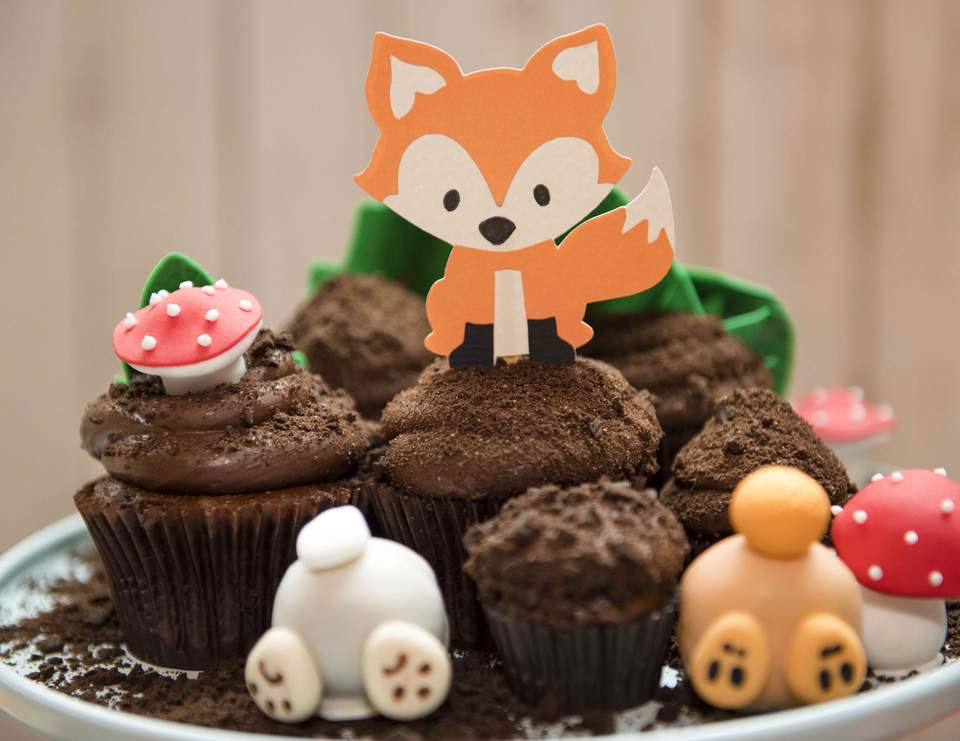 Fox / Birthday "Little Fox birthday party" | Catch My Party