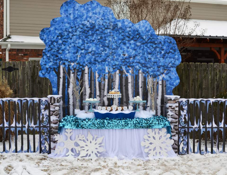 Winter, Snow / Birthday "Winter Garden Party" | Catch My Party