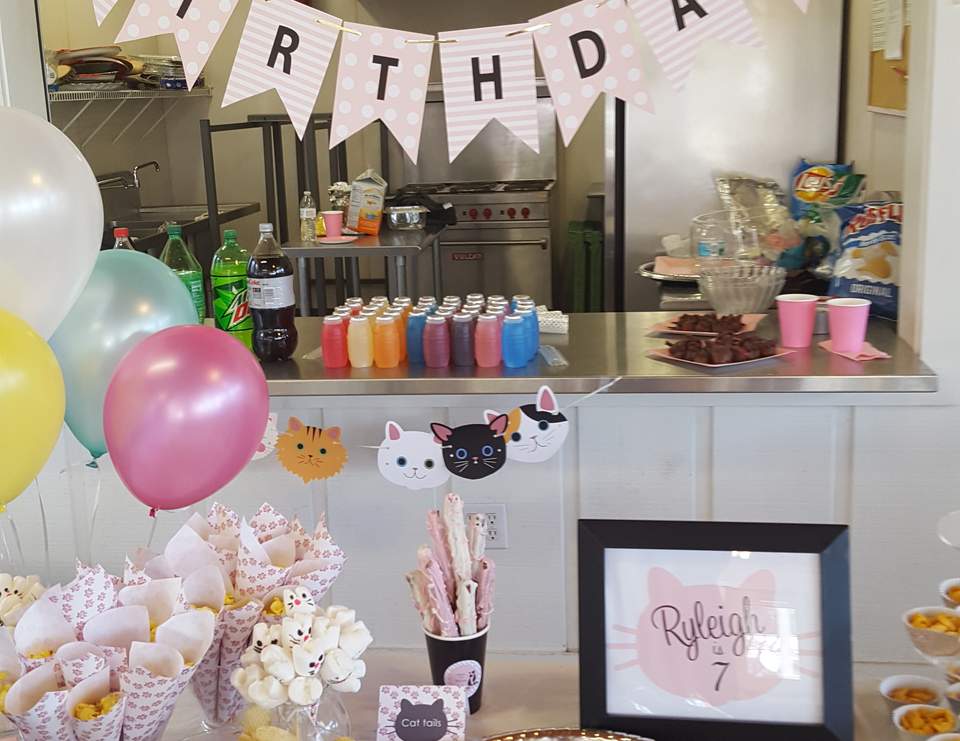 Cats / Birthday "Epic Cat Party" | Catch My Party