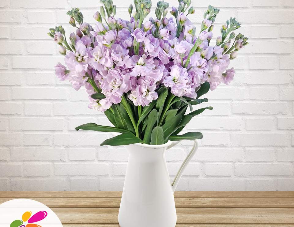 STOCK - ALELI - SHABBY CHIC -AROMATIC FLOWERS / Dinner Party "STOCK ...