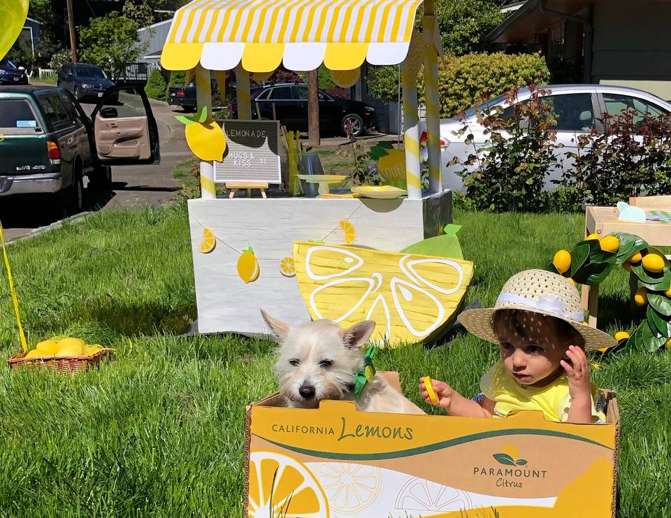 Lemonade Stand / Donation Party "Fresh Lemonade Neighborhood Party ...