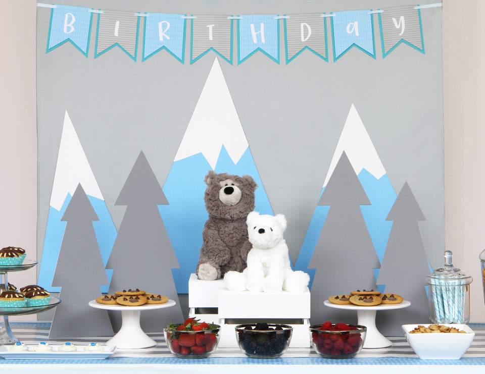 Bears / Birthday "Baby Bear Birthday Party" | Catch My Party