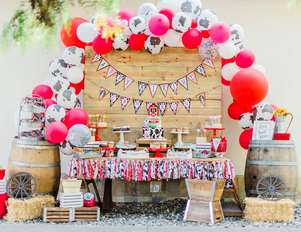 Farm and Barnyard / Birthday "Cam's Barnyard Birthday Bash" | Catch My ...