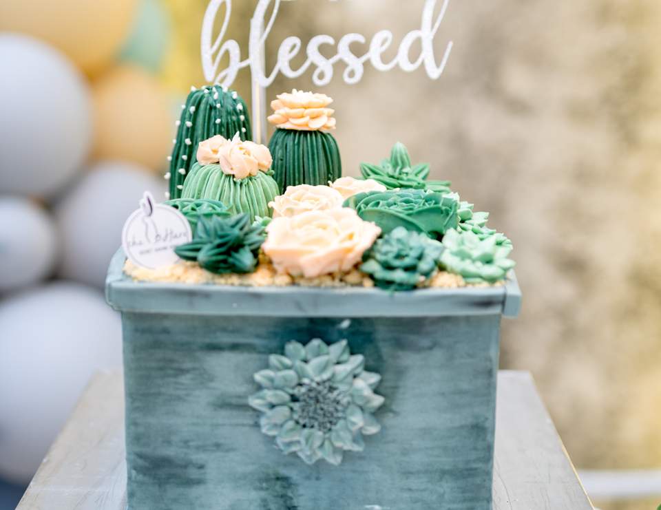 Cactus / Succulent Theme / Birthday "Cactus / Succulent Theme" | Catch ...