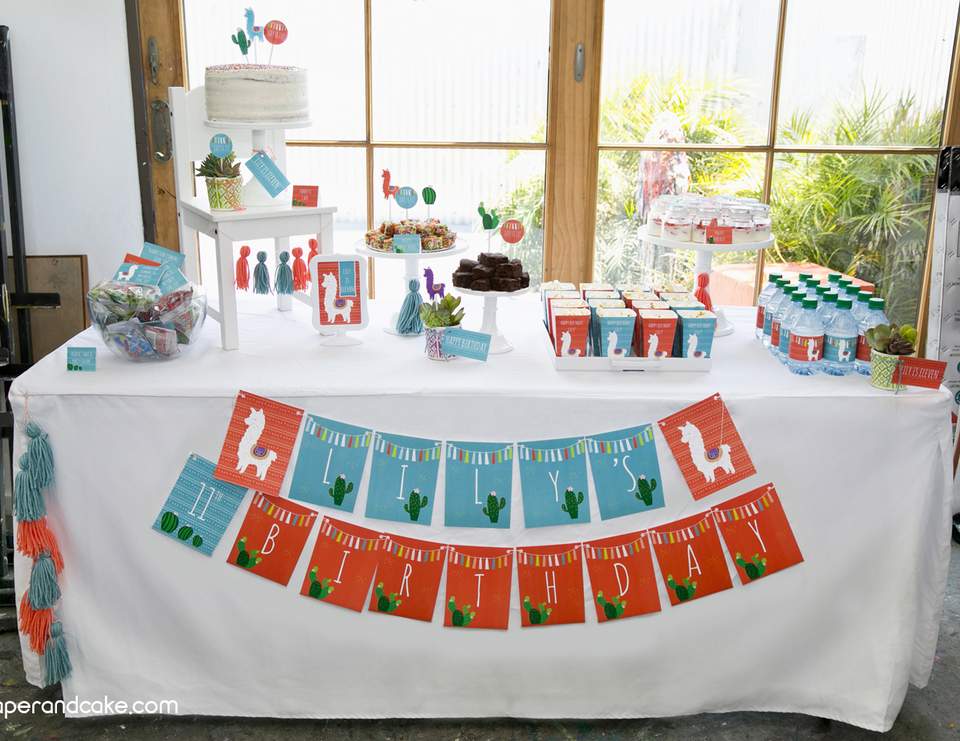 Alpacas / Birthday "Lily's Artistic Alpaca Birthday" | Catch My Party