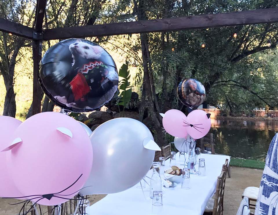 Cat Theme Dinner Party / Dinner Party "Funny Cat Theme Rehearsal Dinner ...
