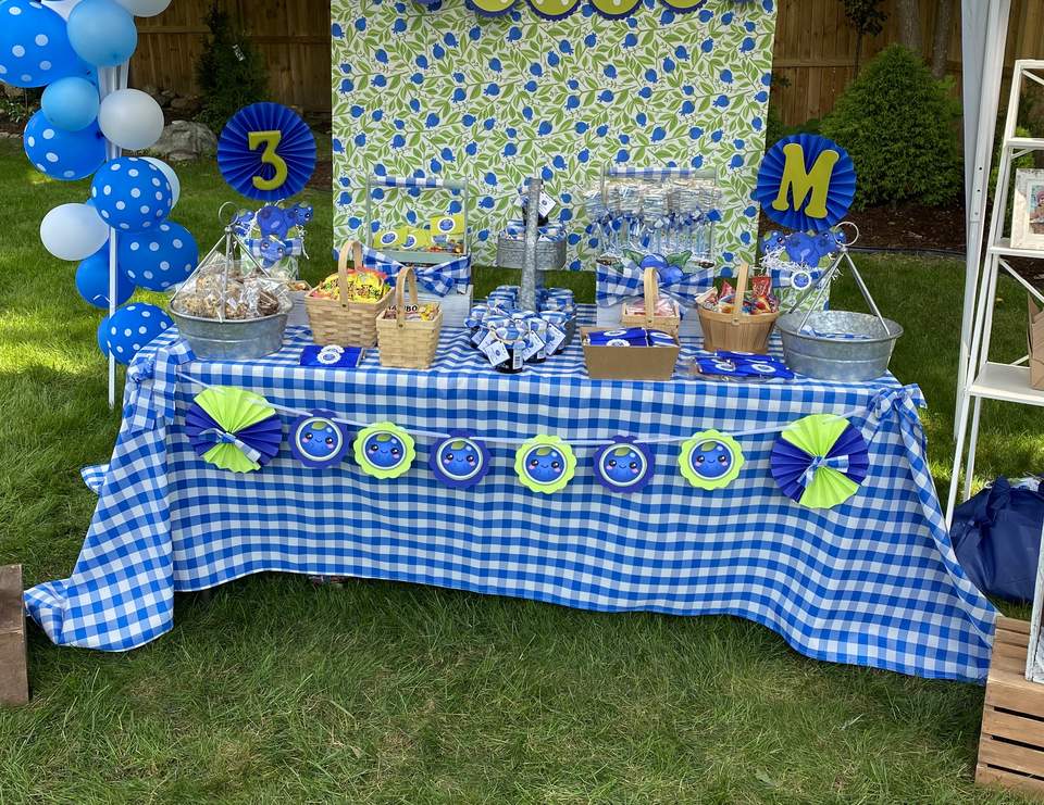 Blueberry / Birthday "Mikayla’s Blueberry Bash" | Catch My Party