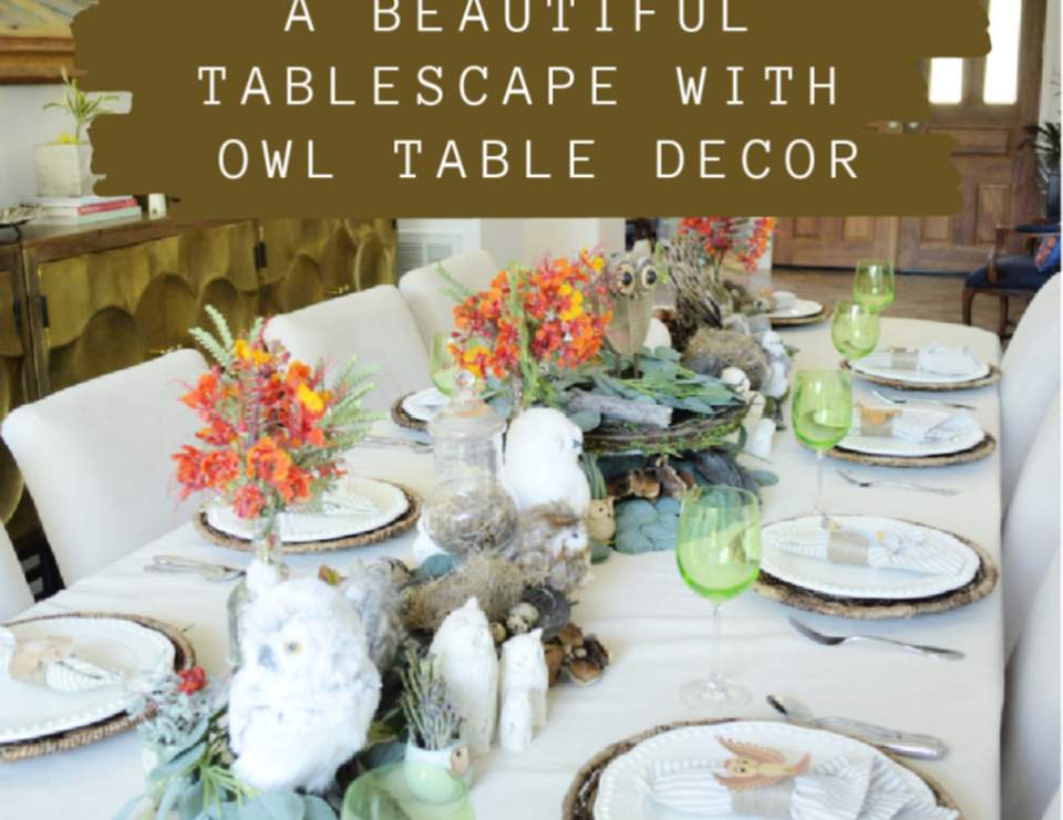 Owl Party / Owl Party to celebrate National Owl Awareness Day or ...