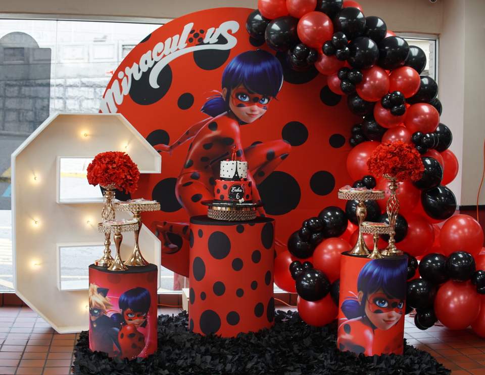 Miraculous Lady Bug / Birthday "Erika’s 6th bday party " | Catch My Party