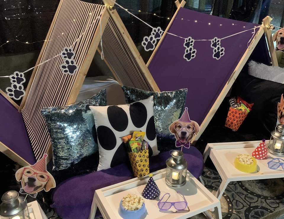 Dogs / Puppies / Birthday "Sleepover Paw-ty" | Catch My Party