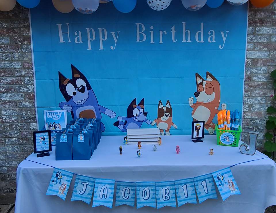 Bluey Birthday Bluey Birthday Catch My Party