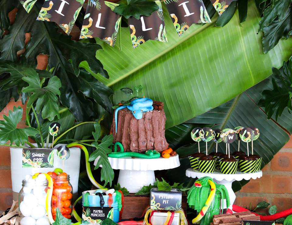 Snake/Reptile Party / Birthday "WILLIAM’S JUNGLE SNAKE PARTY" | Catch ...