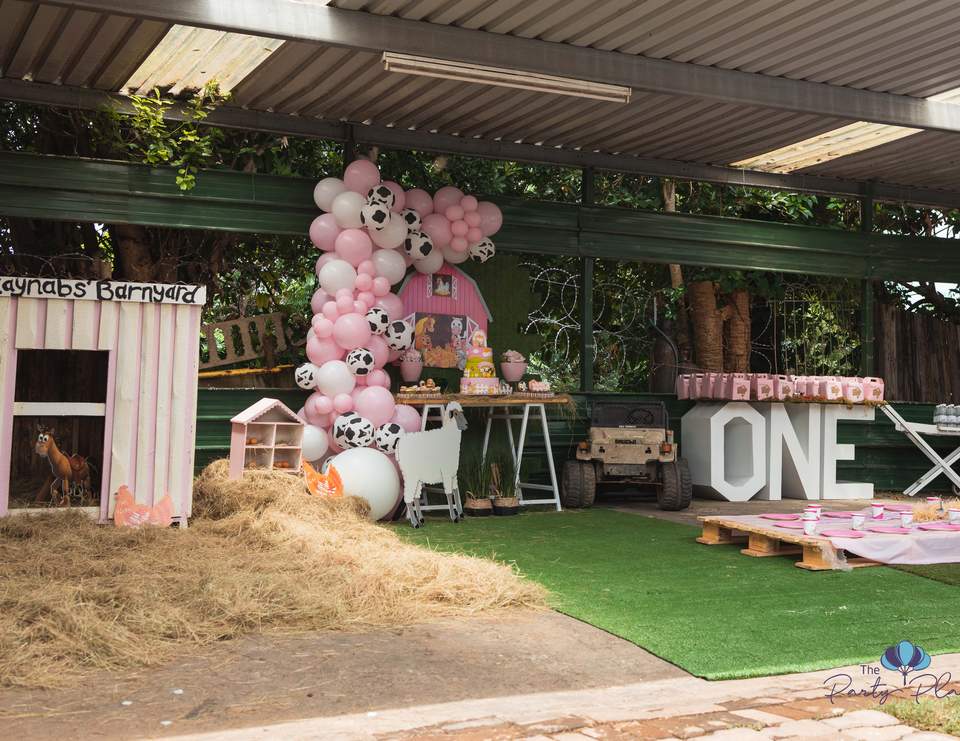Barnyard / Birthday "Barnyard Themed 1st Birthday" | Catch My Party