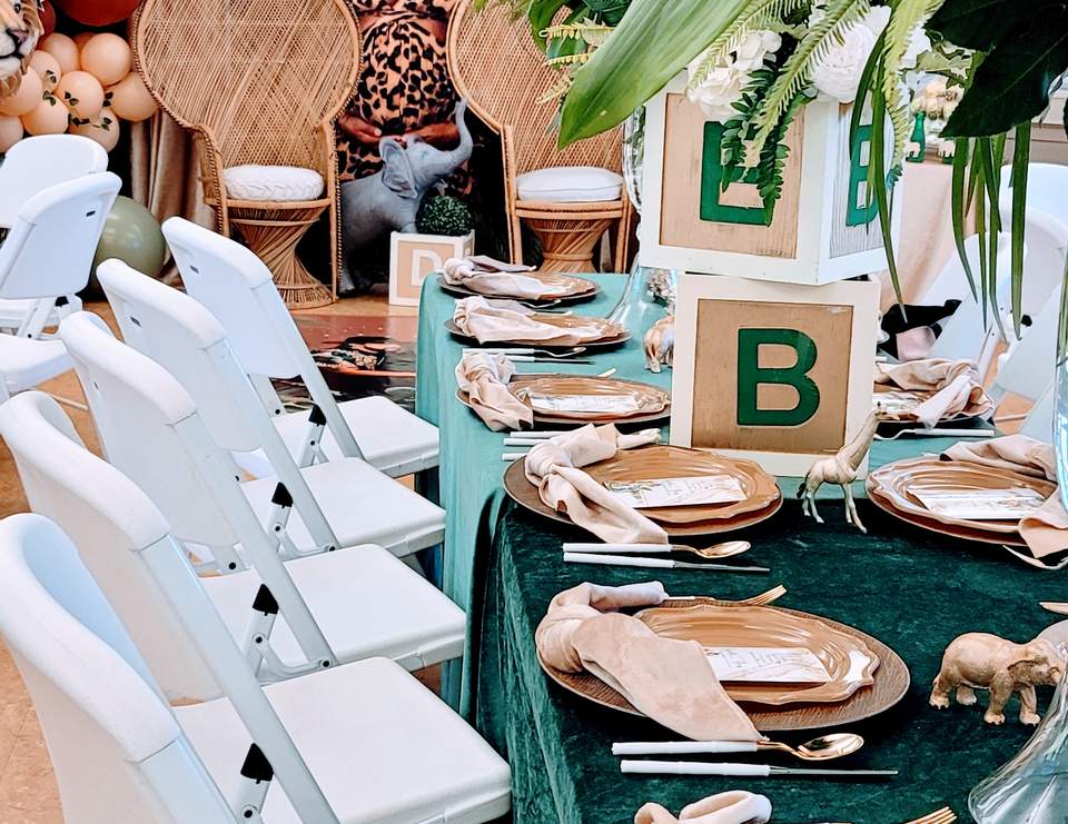 Safari / Baby Shower "Safari & Chic Baby Shower " | Catch My Party