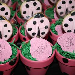 Ladybug pink and black / Birthday "Kaylee bug's First Birthday" | Catch ...