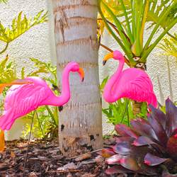 Summer Pool Party / Summer "Flamingo Retro Pool Party" | Catch My Party