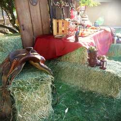 Western/Cowboy / Birthday "Rustic Western Dessert Table" | Catch My Party