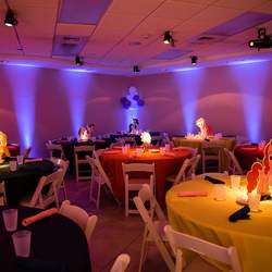 My Little Pony / Birthday "Tess 5th "My Little Pony"" | Catch My Party