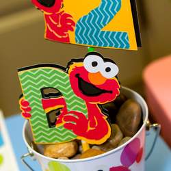 Elmo & Sesame Street / Birthday "Elmo Says Drew is TWO!" | Catch My Party