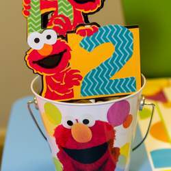 Elmo & Sesame Street / Birthday "Elmo Says Drew is TWO!" | Catch My Party