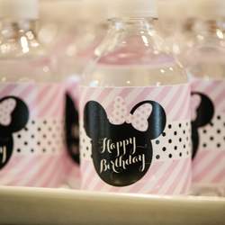 Minnie Mouse / Birthday "Minnie Mouse 2nd Birthday" | Catch My Party