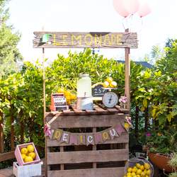 Birthday "Vintage Lemonade Stand Party" | Catch My Party