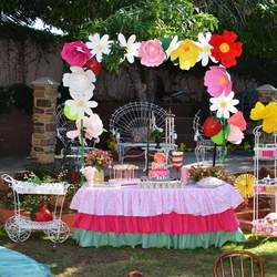 Strawberry Shortcake / Birthday "Fallon's Berry Best Birthday " | Catch ...