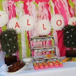 Strawberry Shortcake / Birthday "Fallon's Berry Best Birthday " | Catch ...