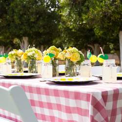 Lemons and Lemonade / Summer "Lemon Grove Party" | Catch My Party