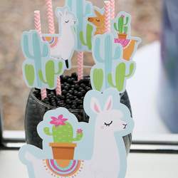 Llama / Birthday "Whole Llama Fun" | Catch My Party