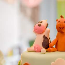 Barnyard Fun / Birthday "Barnyard Fun" | Catch My Party