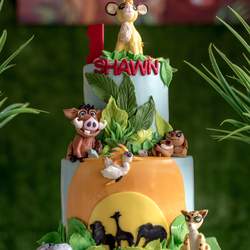 Simba & Friends / Birthday "Simba & Friends" | Catch My Party