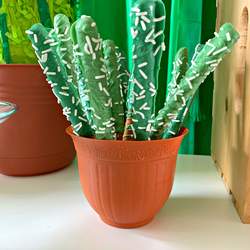 Llama / Birthday "No Prob-Llama Birthday Party" | Catch My Party