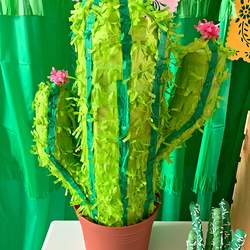 Llama / Birthday "No Prob-Llama Birthday Party" | Catch My Party