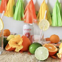 Citrus / Summer "Citrus Party" | Catch My Party