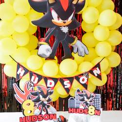 Shadow The Hedgehog / Birthday "Shadow The Hedgehog Birthday Party ...