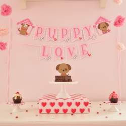 Puppy Love / Valentine's Day "Puppy Love Party" | Catch My Party